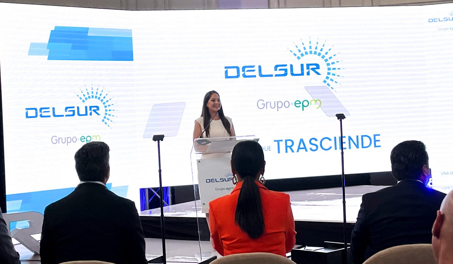 “DELSUR una organización que trasciende” Gestión de la Sostenibilidad ...